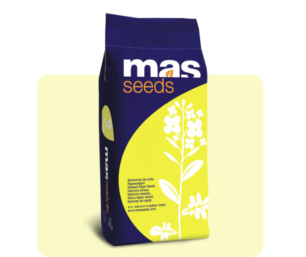 Key Growth Stages of Oilseed Rape - MAS Seeds UK